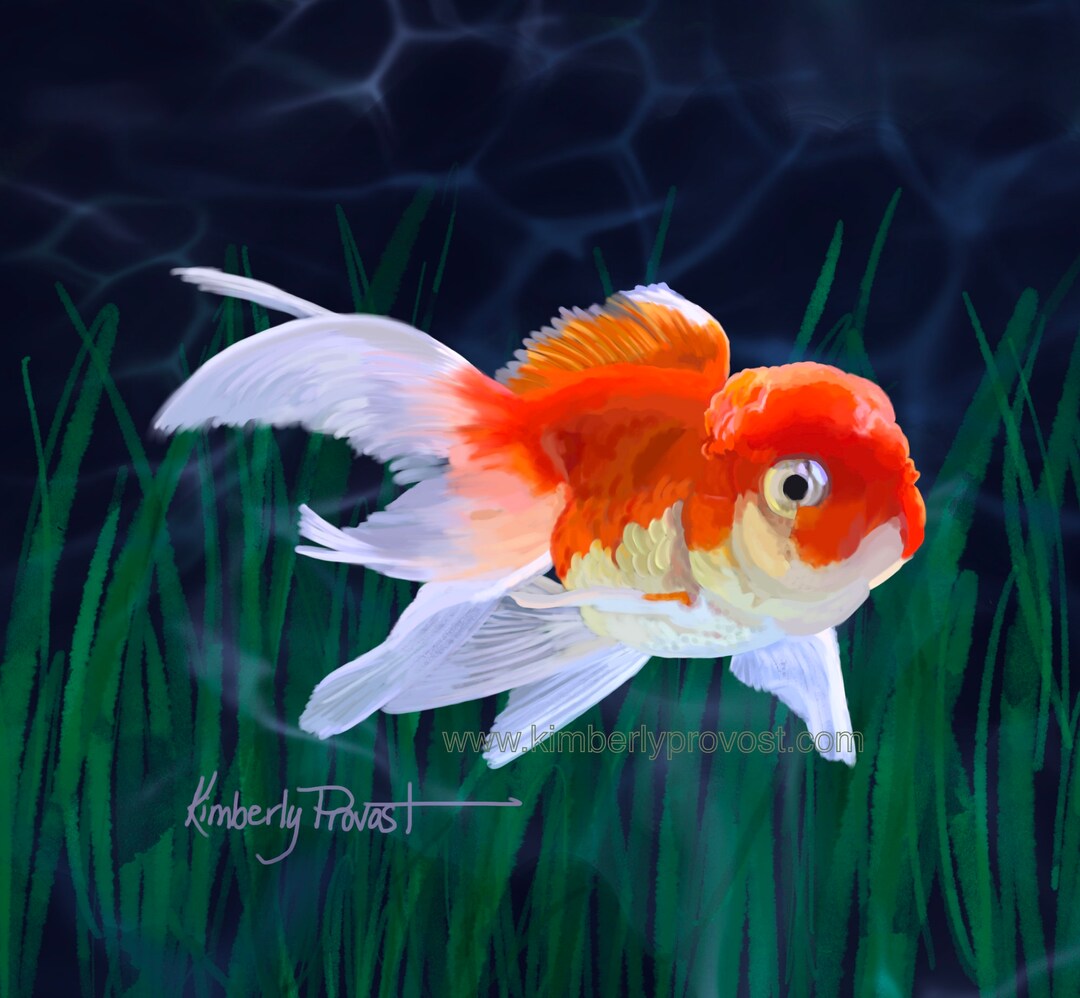 Printable Goldfish Orange Oranda Wall Art Digital Download - Etsy
