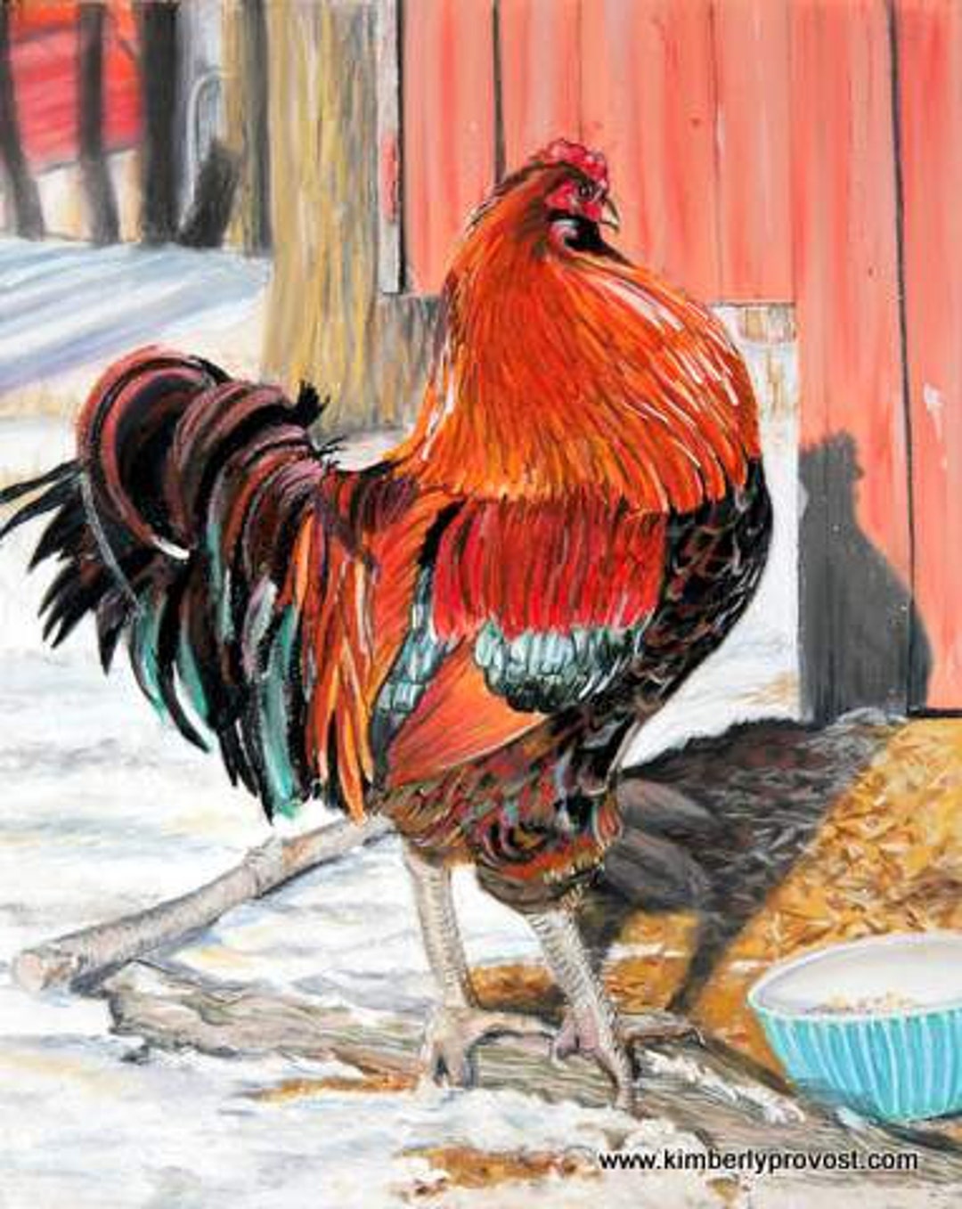 Art Print of Colorful Rooster in the Sunlight/5x7 Print From Vermont ...