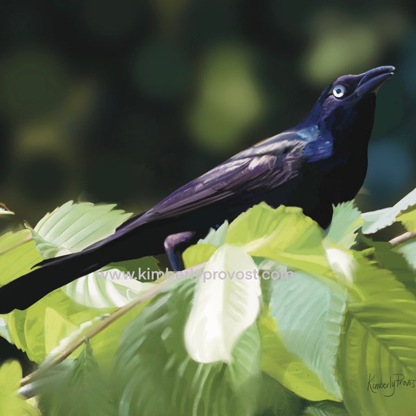 Grackle Painting - Etsy