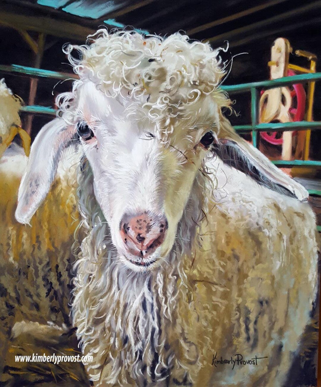 Art Print of Angora Goat at Wool Festival/print 5x7 From Vermont Made ...