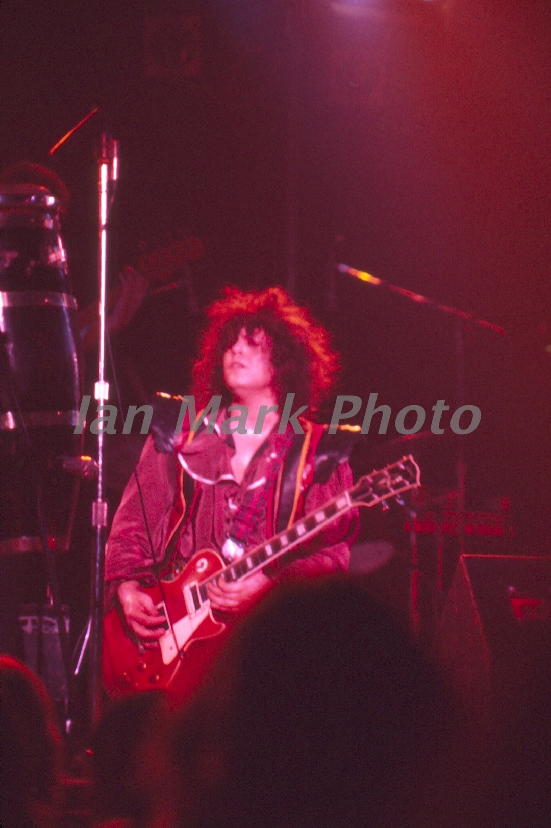 T Rex 8X12 Poster - Etsy