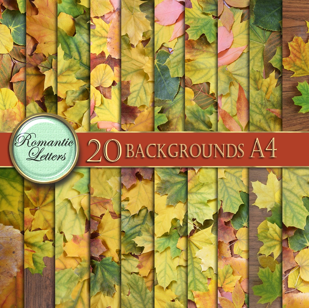 Autumn Leaves Photo Backdrop Newborn Photography Background Fall ...