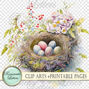 Easter Bird House Digital Clip Art Set Easter Eggs Printable Scrapbook ...