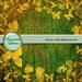 Autumn Butterfly Digital Paper Autumn Digital Background Gold Scrapbook ...