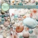 Beach Sea Shells Digital Scrapbook Paper Printable Beach Sand - Etsy