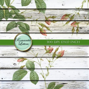 Digital Background Paper Shabby Chic Wedding Scrapbook Digital Paper ...