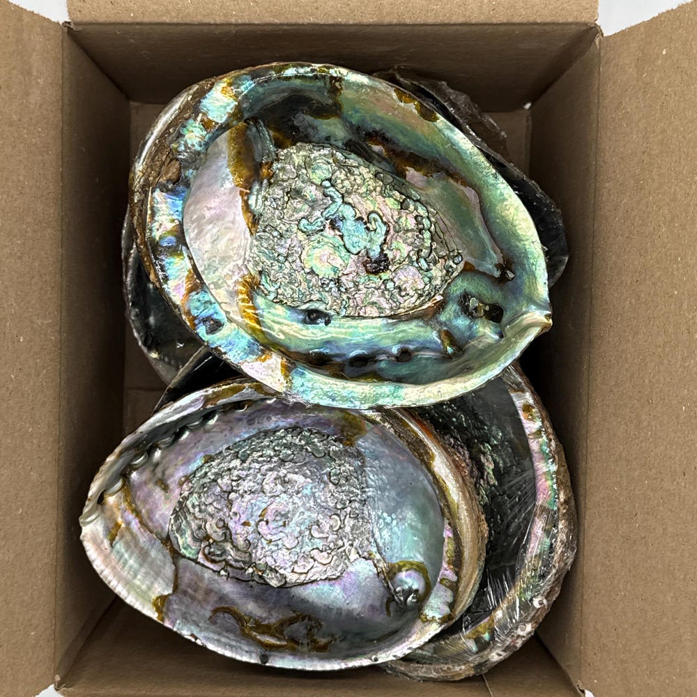 OceanGiftsAndShells - Etsy