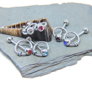 Prince Albert 14G 12G 10G 8G Slave Ring - 6 Colors - VCH Cheek Conch ...