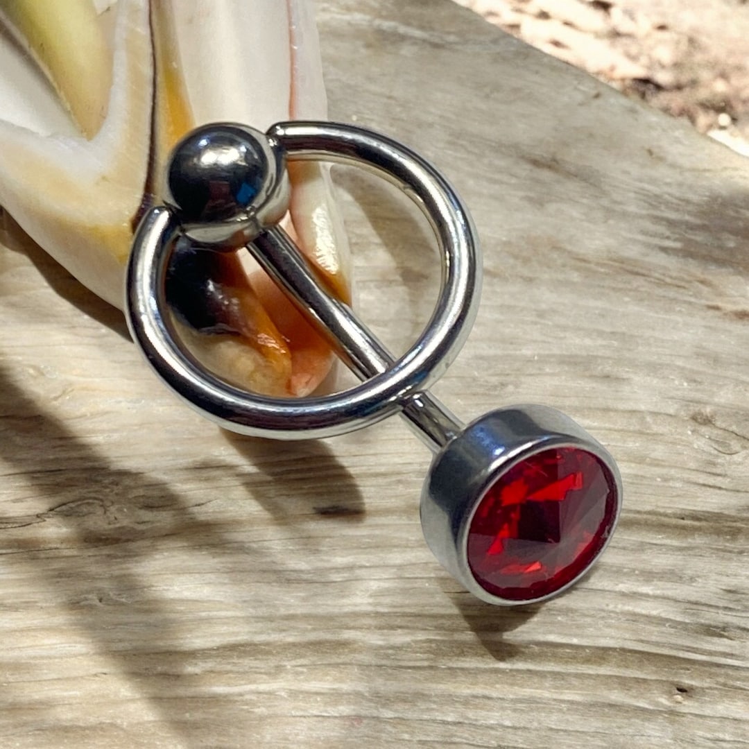 Ruby Red CZ and Surgical Vertical Hood Piercing Barbell VCH 14G 12G 10G 8G Straight or Curve Bar ...