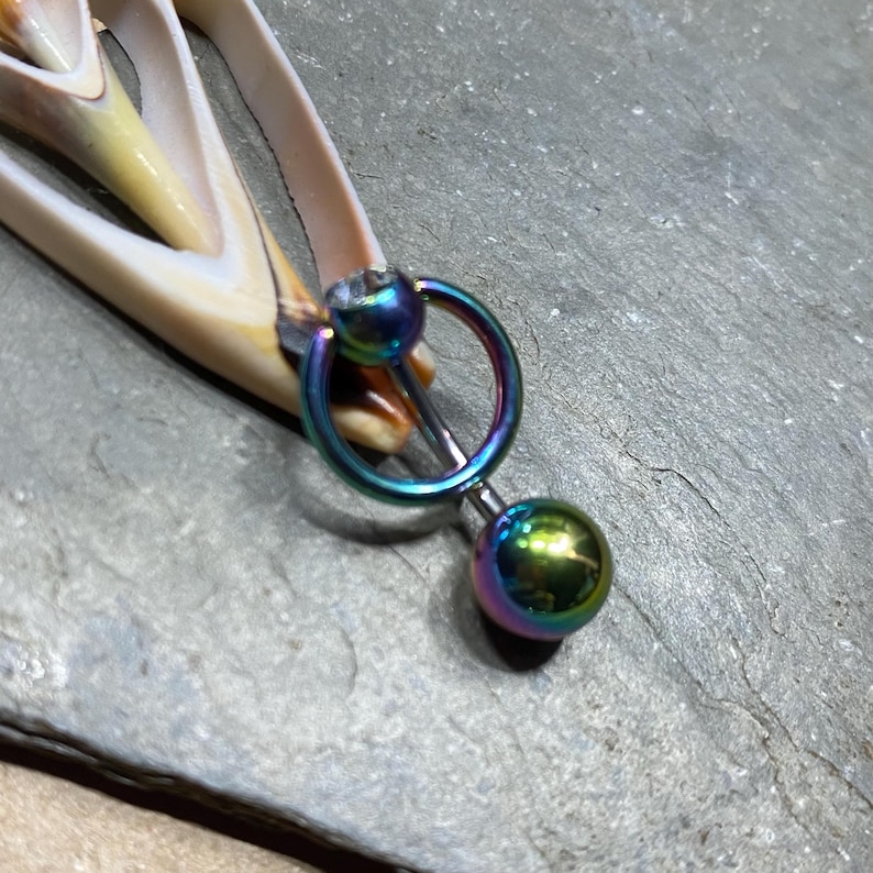 Rainbow Prince Albert Barbell PA 8mm End 14G 12G 10G 8G Slave Ring - Etsy
