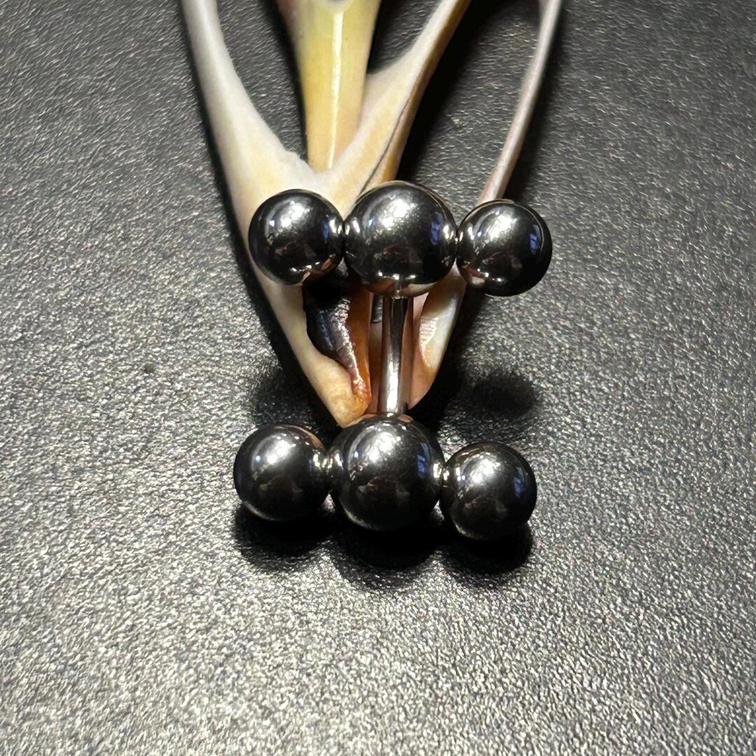 Prince Albert PA Foreskin Double T Slave Bar 14G 12G 10G 8G 6G Penile ...