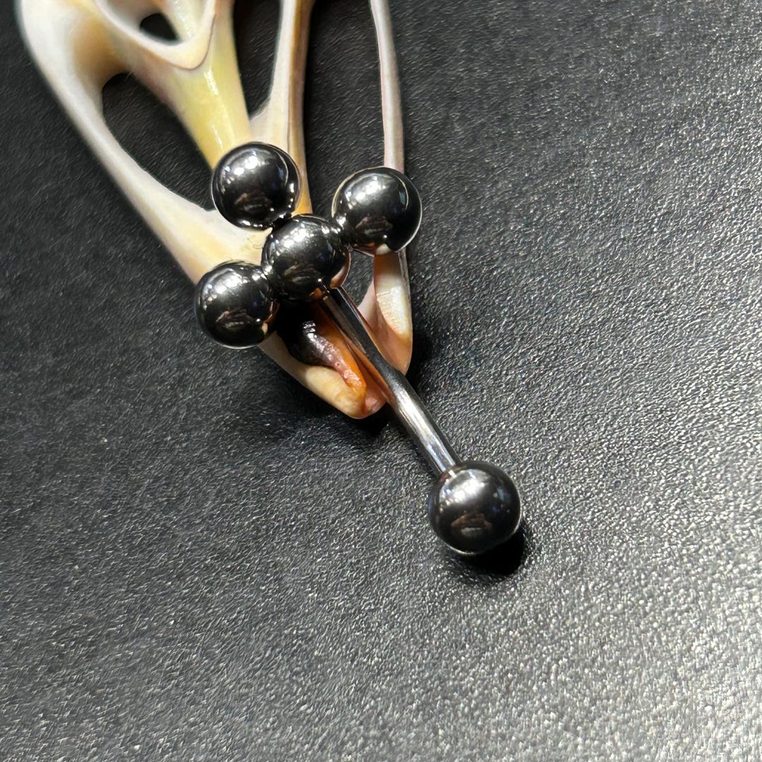 Prince Albert PA Barbell 14G 12G 10G 8G Cross T-bar Slave Apadravya ...