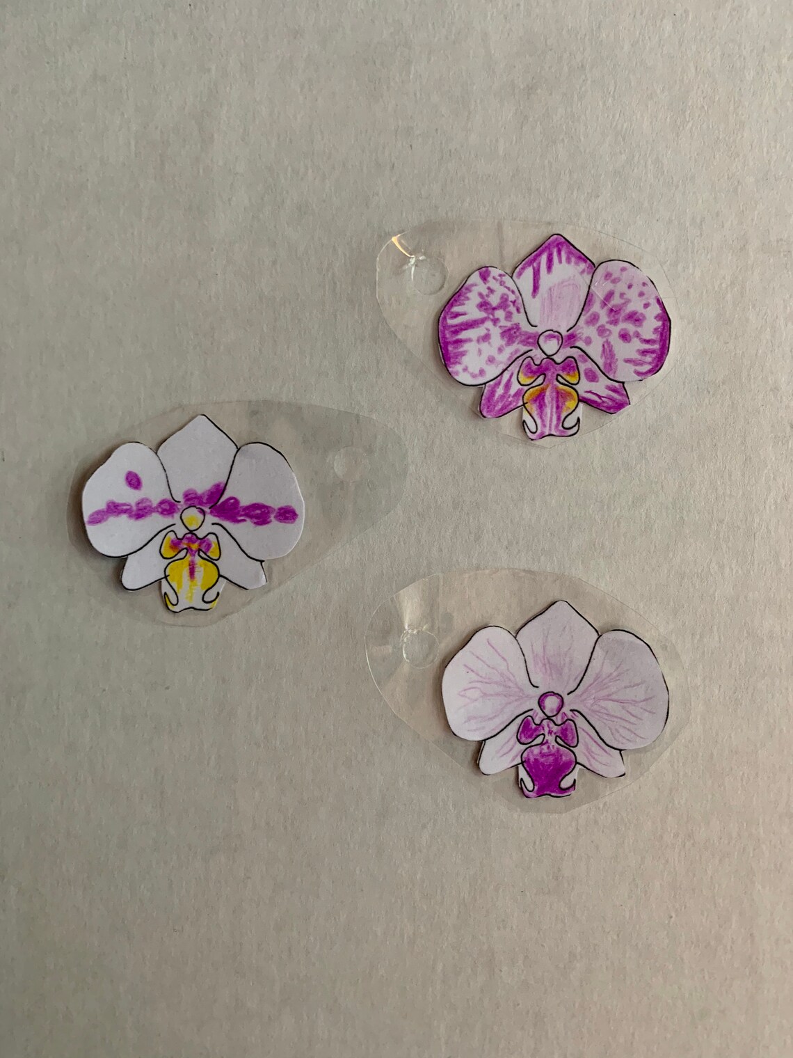 Phalaenopsis Orchid Labels Color in PDF Letter Sized Page - Etsy