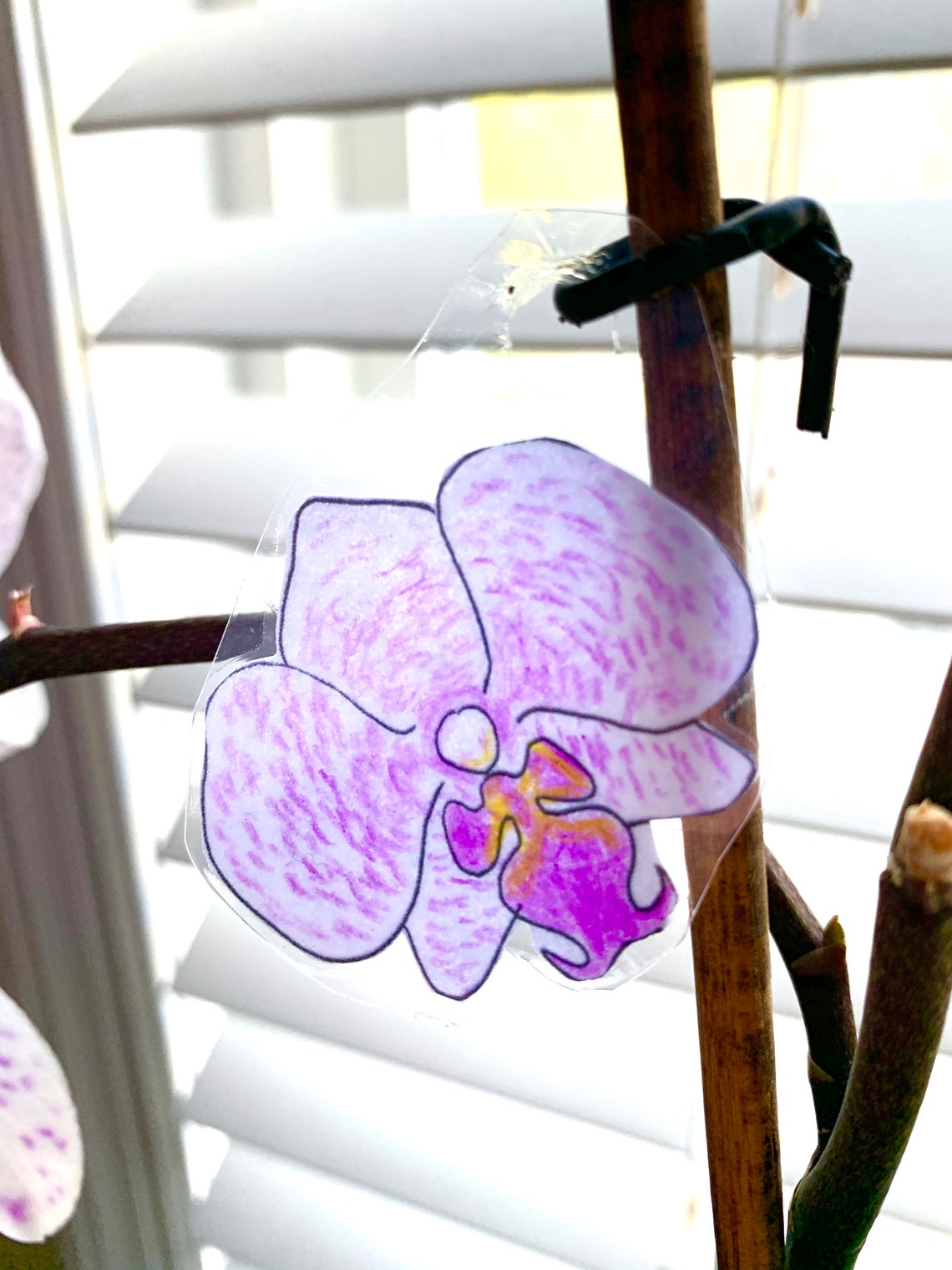 Phalaenopsis Orchid Labels Color in PDF Letter Sized Page - Etsy