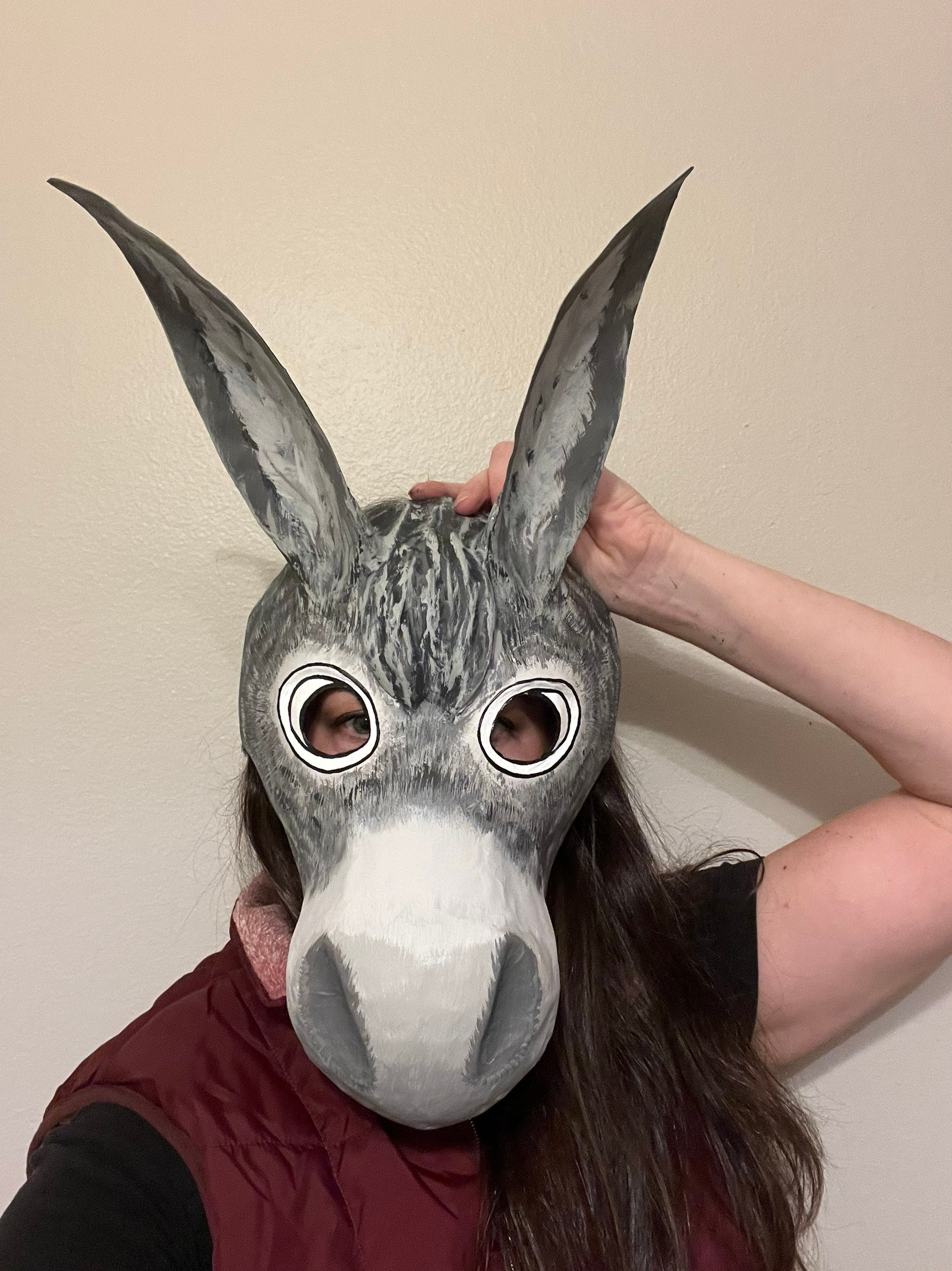 Donkey Face Mask
