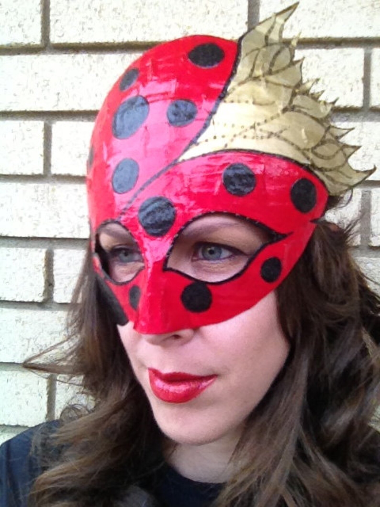 Lady bug mask ladybug mask lady bug costume ladybug with | Etsy