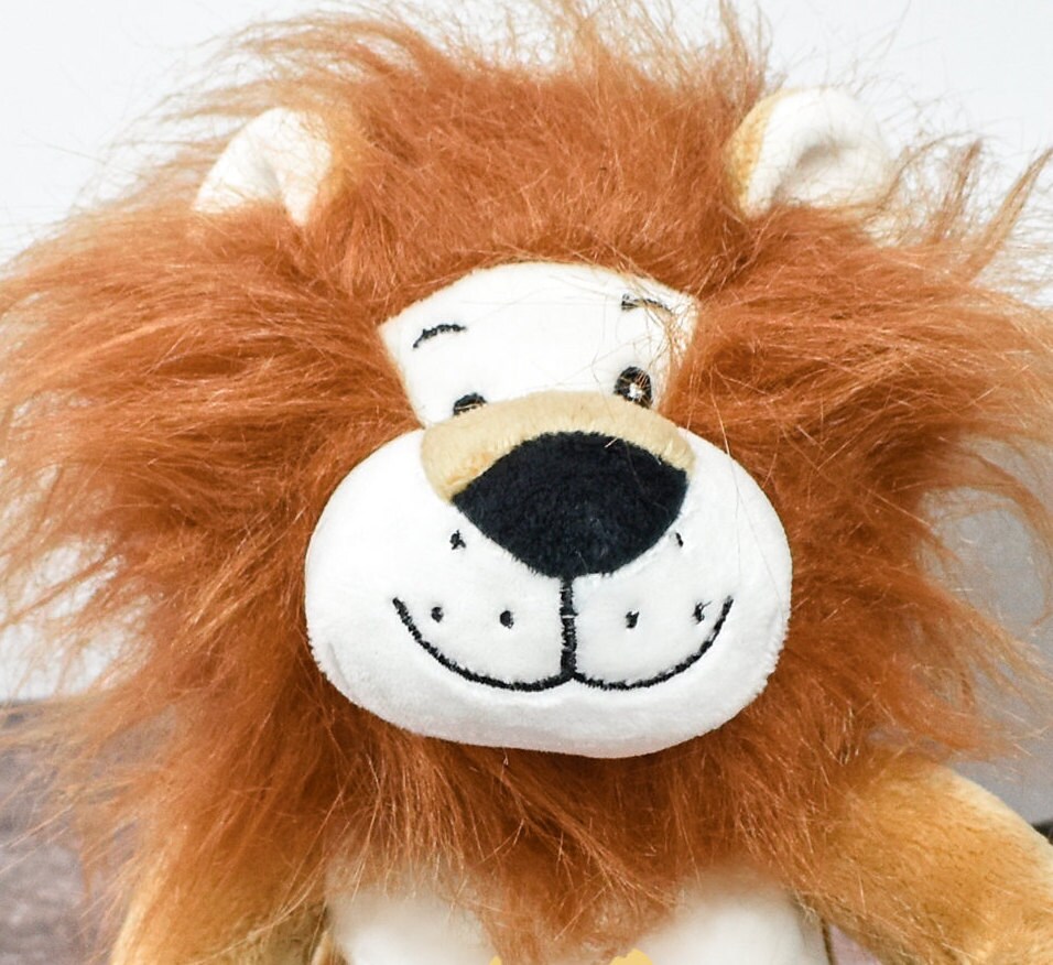 Personalised Lion Teddy New Baby Gift Customised Plush Soft | Etsy
