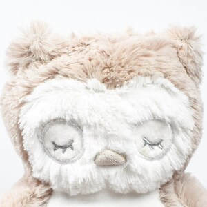 Personalised Owl Teddy New Baby Gift Customised Plush Soft - Etsy
