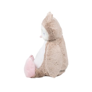 Personalised Owl Teddy, Blue Rainbow Teddy, New Baby Gift, Customised ...