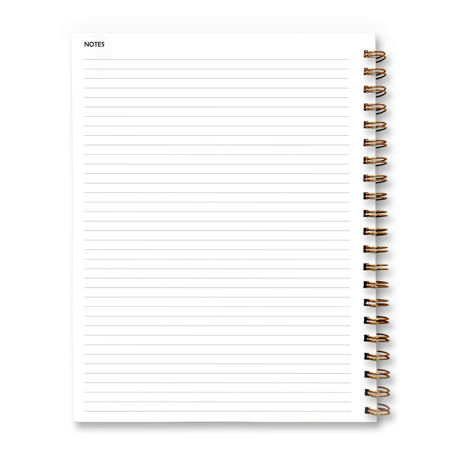 UNDATED Weekly Lesson Plan for Teachers or Home School, Black Polka Dot ...