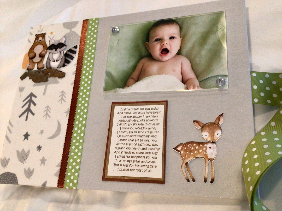Woodland Baby Journal and Photo Book, Forest Friends Record Book ...