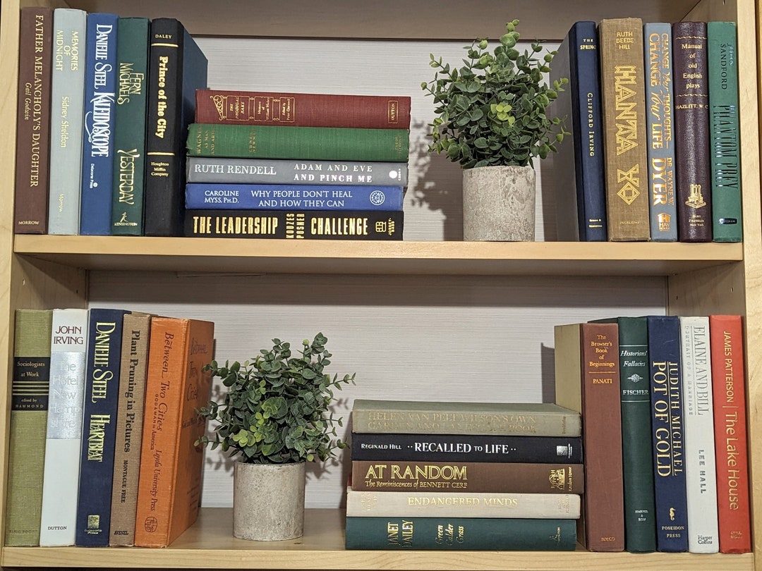 Colorful Bookshelf Decor, Home Staging, Set of 4 Collection, Modern ...
