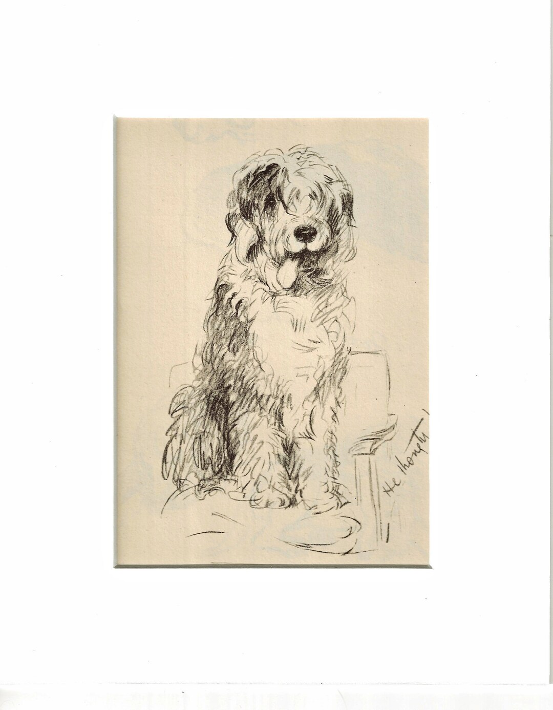 MATTED Lucy Dawson Dog Print, Original 1930s 8x10 Mounted, English ...