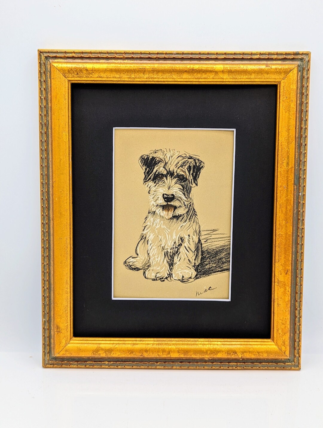 Matted Dog Print, 8x10 Lucy Dawson Dogs, Wall Art, Mounted Puppy Print ...