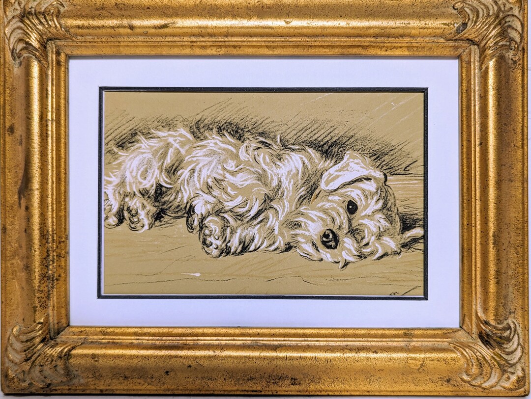 MATTED Puppy Print Terrier Antique Dog Printlucy Dawson 5x7 - Etsy