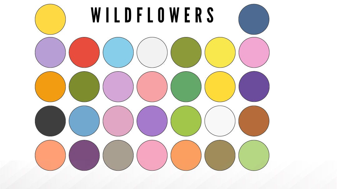 Procreate Color Palette Wildflower Meadow Floral Spring Color Scheme ...