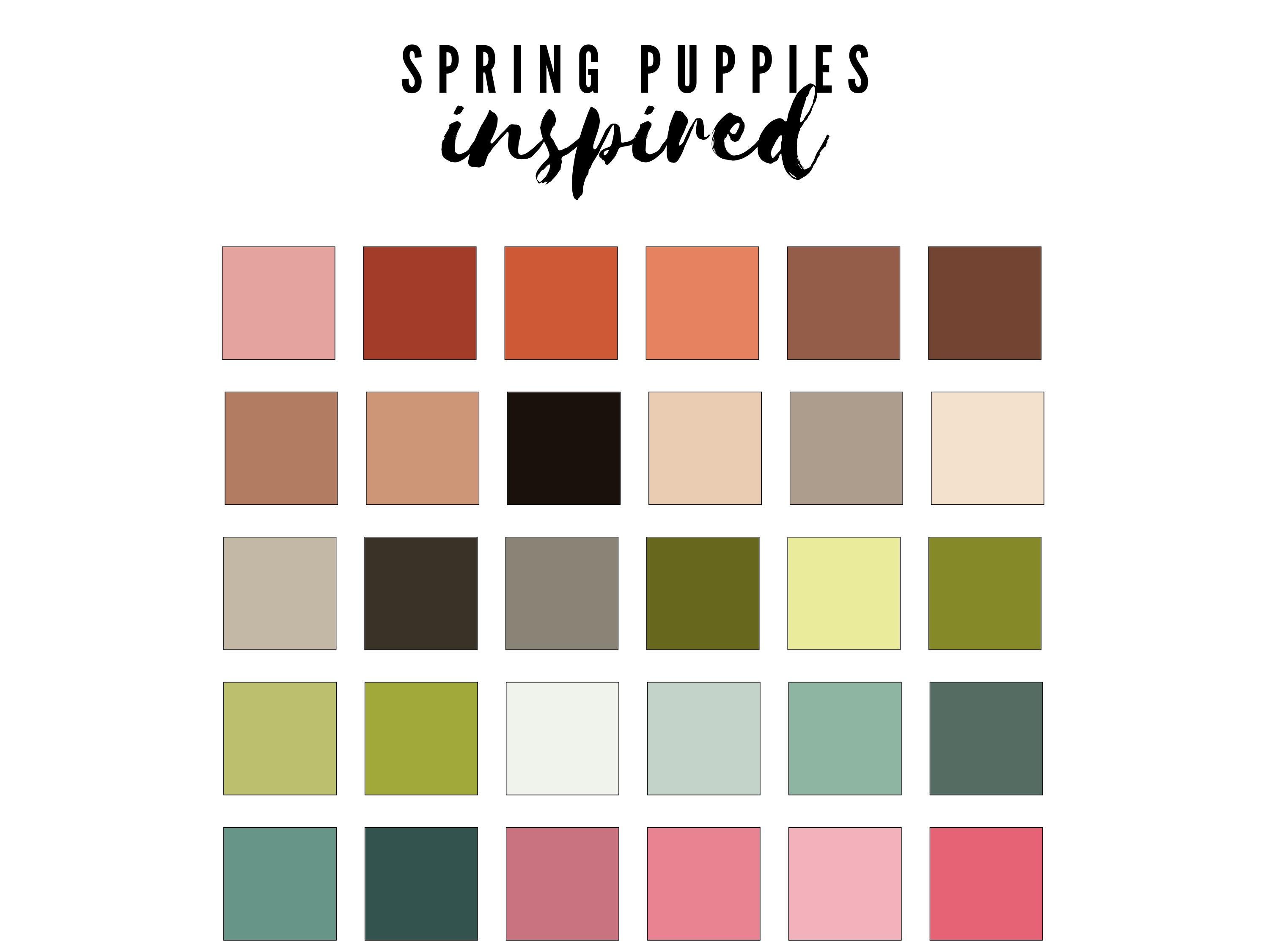 Procreate Color Palette Spring Puppies Cute Baby Animal Inspired Color ...