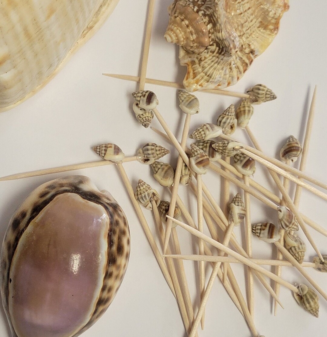 50 Seashell Toothpicks, Beach Wedding Party Toothpicks, Hors D'oeuvre ...