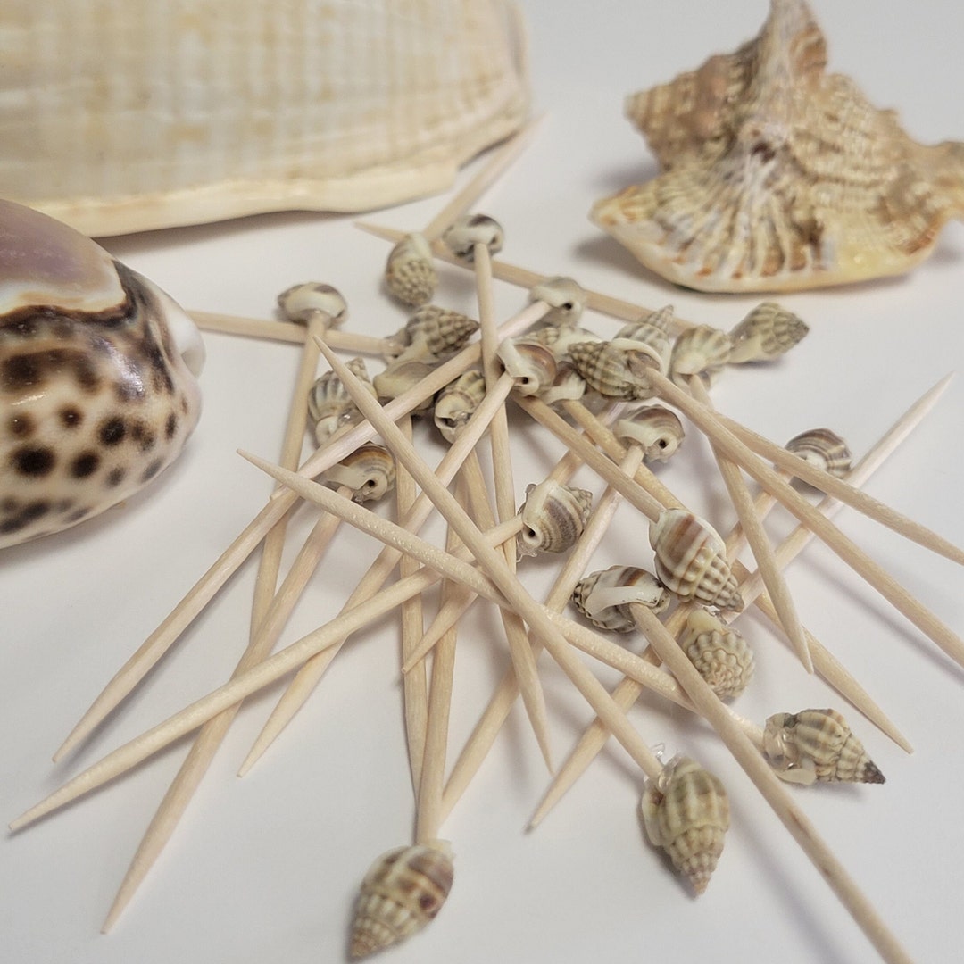 Seashell Toothpicks, Beach Wedding Party Toothpicks, Hors D'oeuvre ...