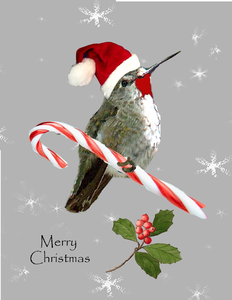 GLITTER FREE Hummingbird Christmas Cards 10 Hummer Santa - Etsy