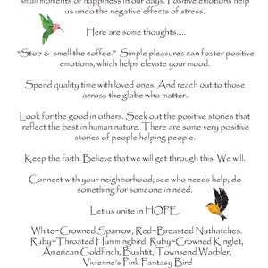 Box of 10 Hope Cards~positive Thoughts in a Crisis Card~sweet Birds of ...