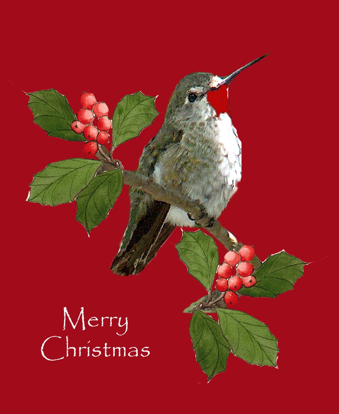 10 CUSTOM Hummingbird Christmas Cards, Handmade Hummer Card for the ...