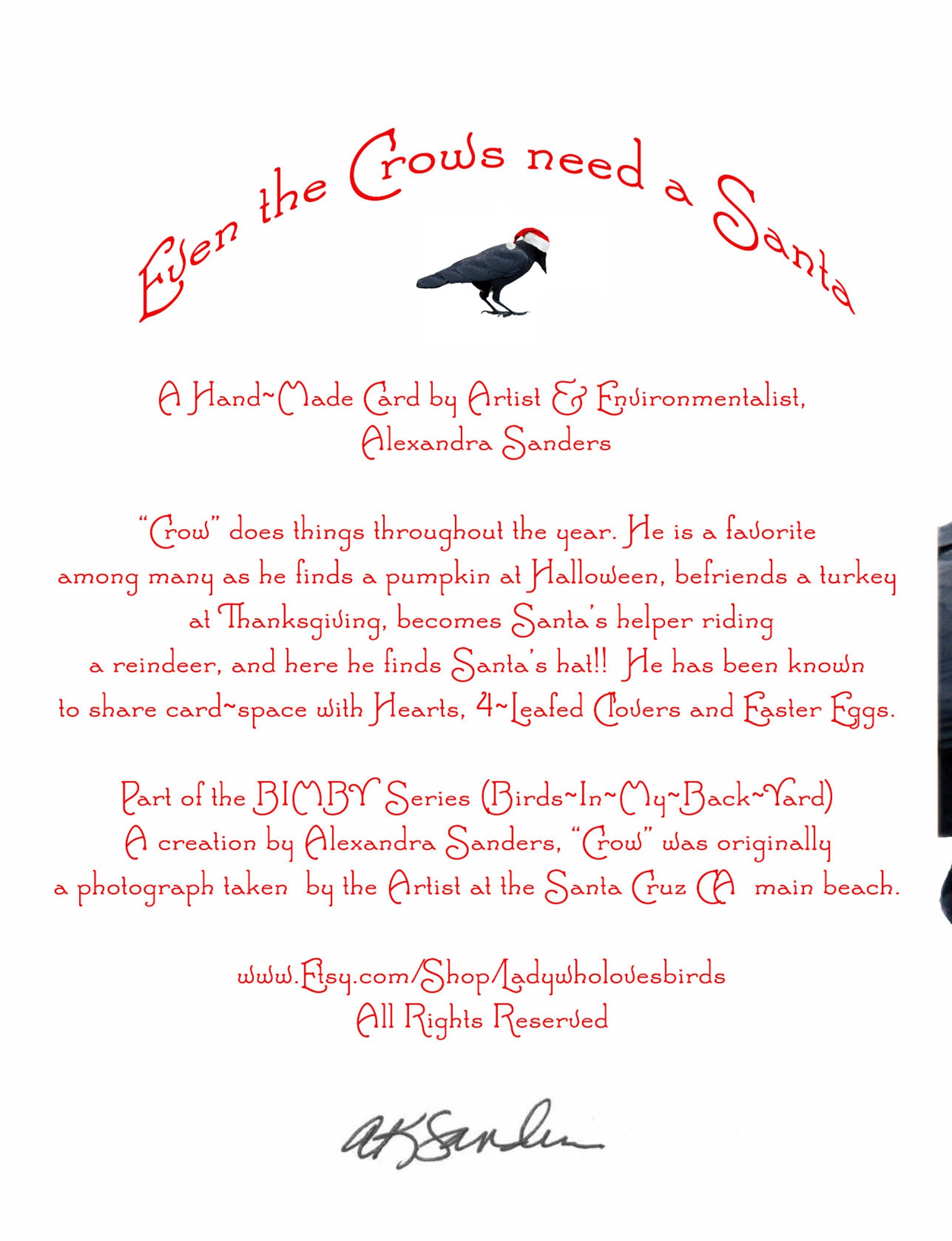 Box of 10 Christmas Crow Cardshandmade Christmas Ravenblack - Etsy