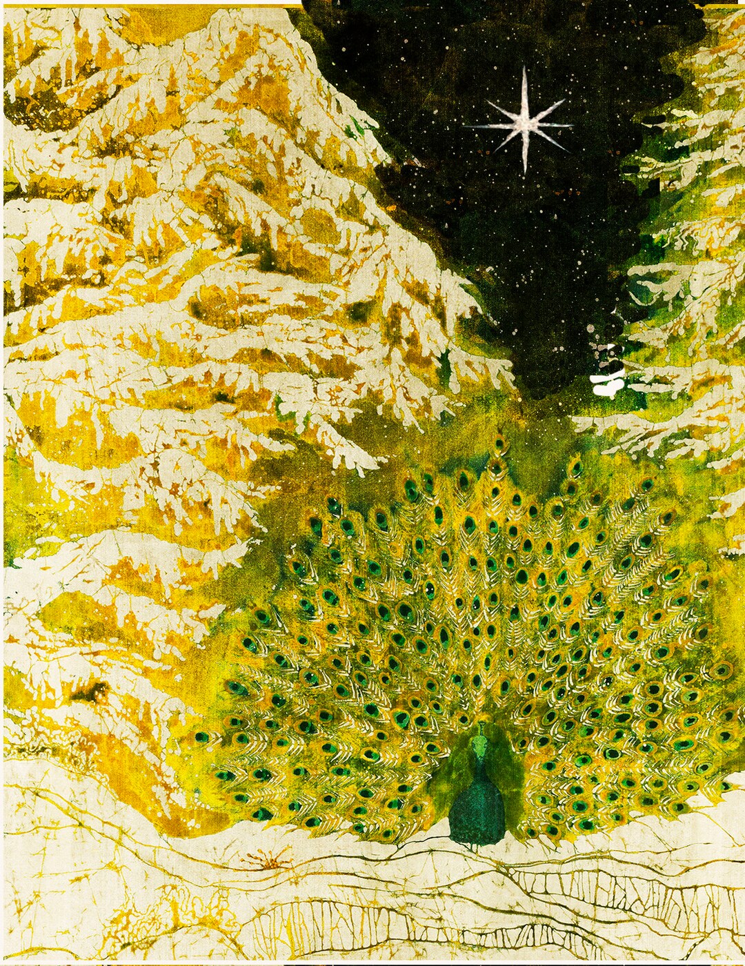 Peacock Holiday Greeting Cards: Glittery Starry Night, Fantasy Forest ...