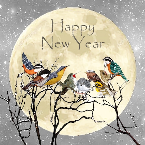 Happy New Year Cards With GLITTER Handmade Little Birds - Etsy
