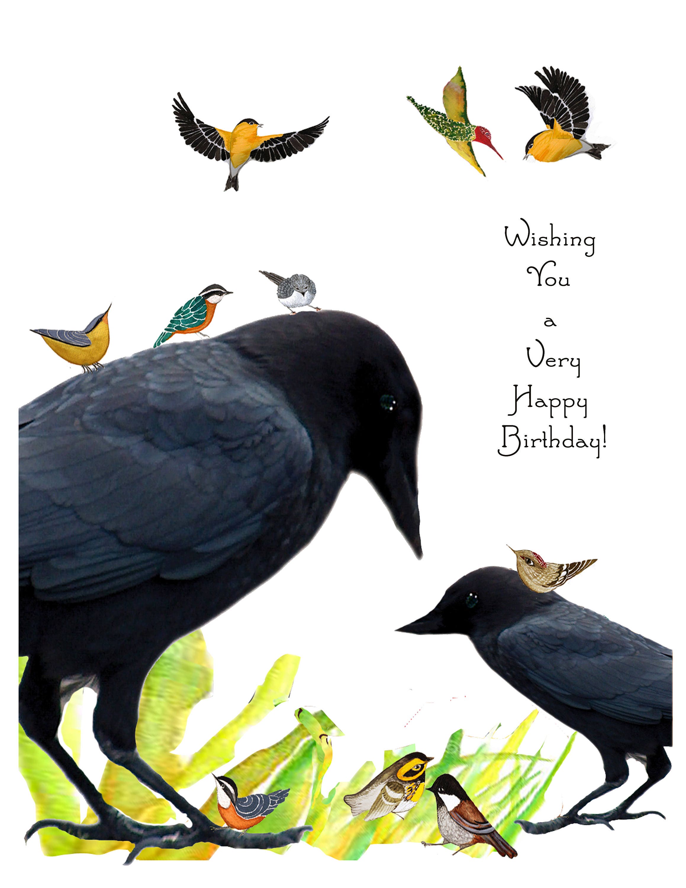 How to Greet in Crow Bird Language - Birds Of The Wild