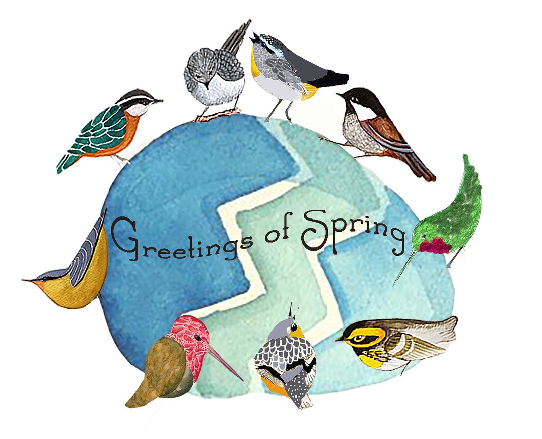 Boxed Set of 10 Custom Little Birds Easter Spring Cards~touch Base With ...