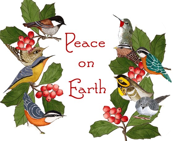 Gift Box of 10 Little Birds Peace on Earth - Etsy
