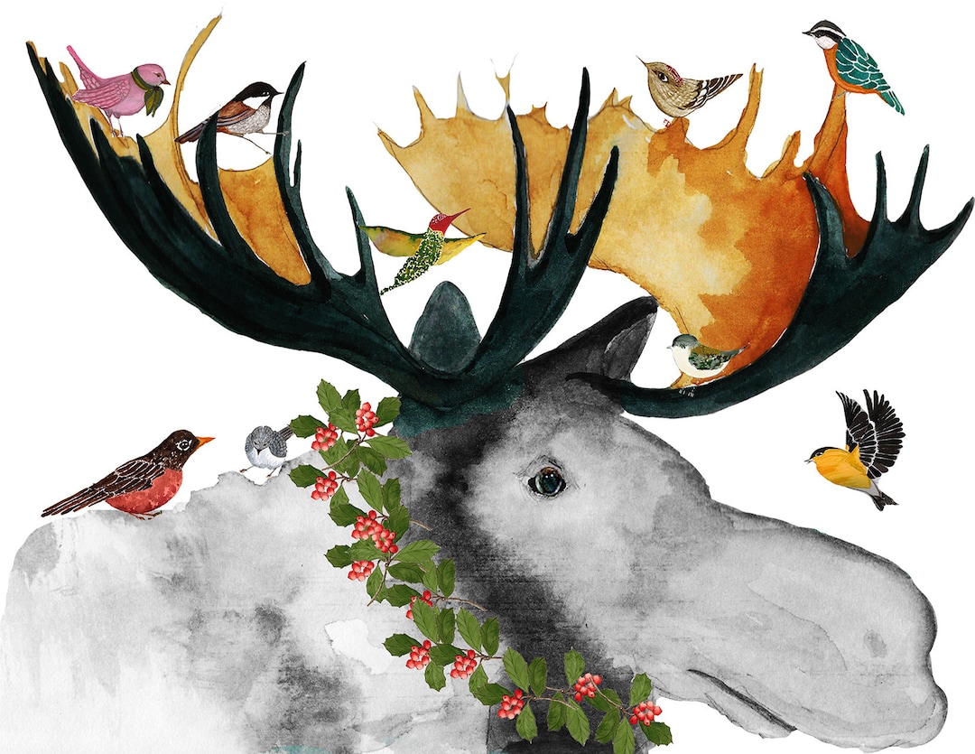 10 Moose Christmas Cards~chris-moose Cards~moose Fantasy Nature ...
