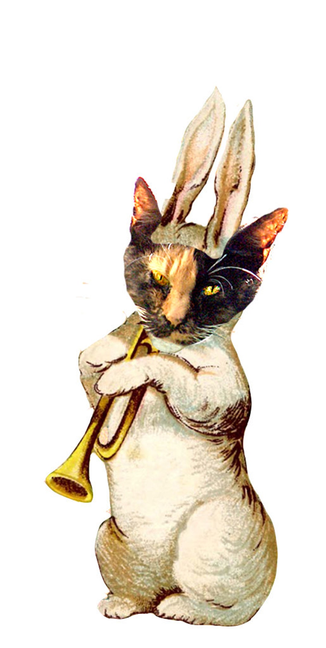 YOUR PET on This Card Custom Kitty Bunny Musician Trumpet - Etsy
