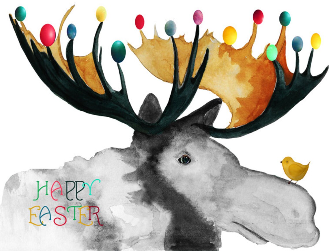 Easter Moose Cardmoose Baby Chick Cardmoose Fantasy - Etsy