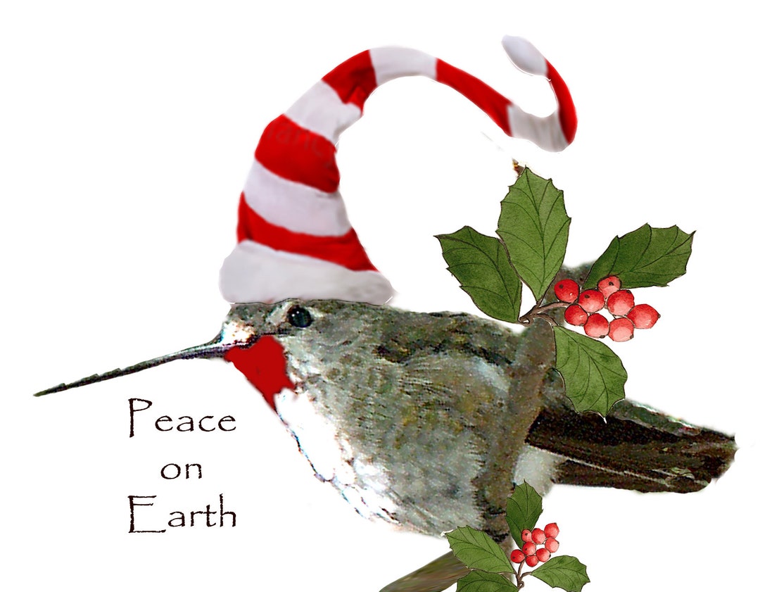 Christmas Fantasy Hummingbird Cards, Magical Holiday Santa Bird Card ...