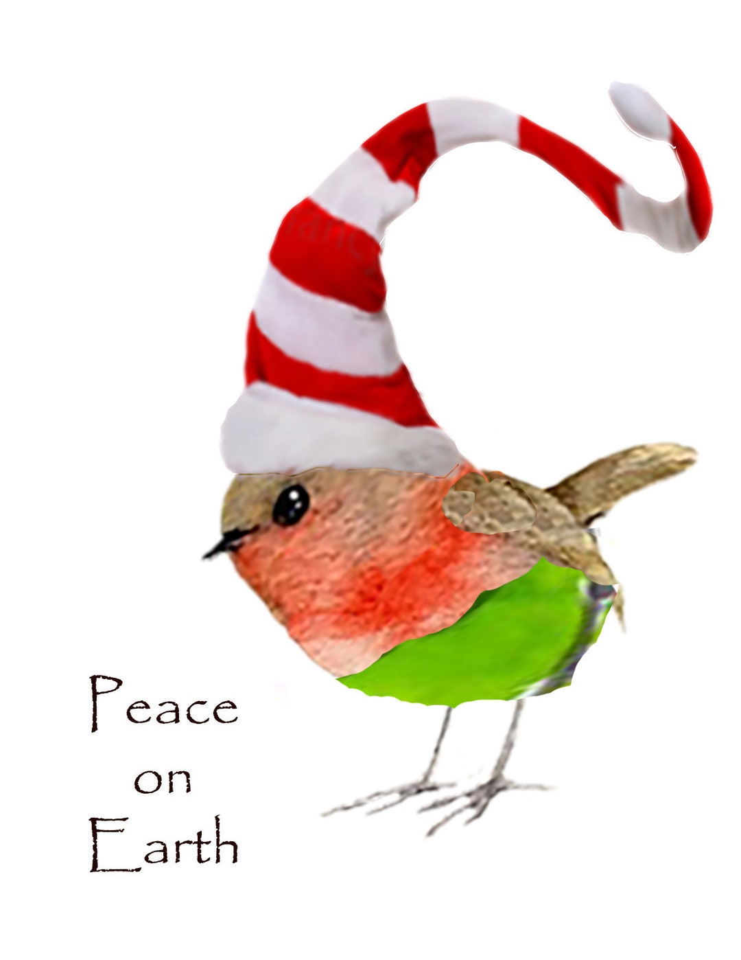 English Robin Christmas Cardlittle Bird Peace Cardbaby Bird Christmas ...