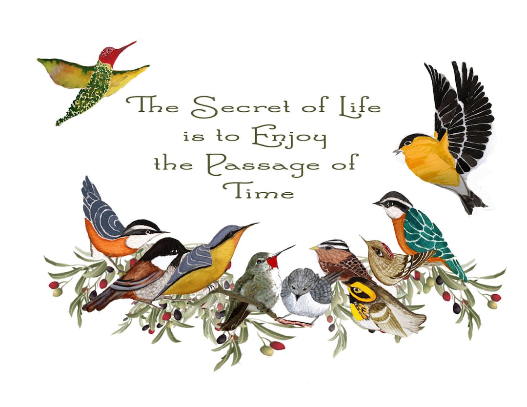 Inspirational Bird Lover Greeting Cards, Secret of Life Magical Cards ...