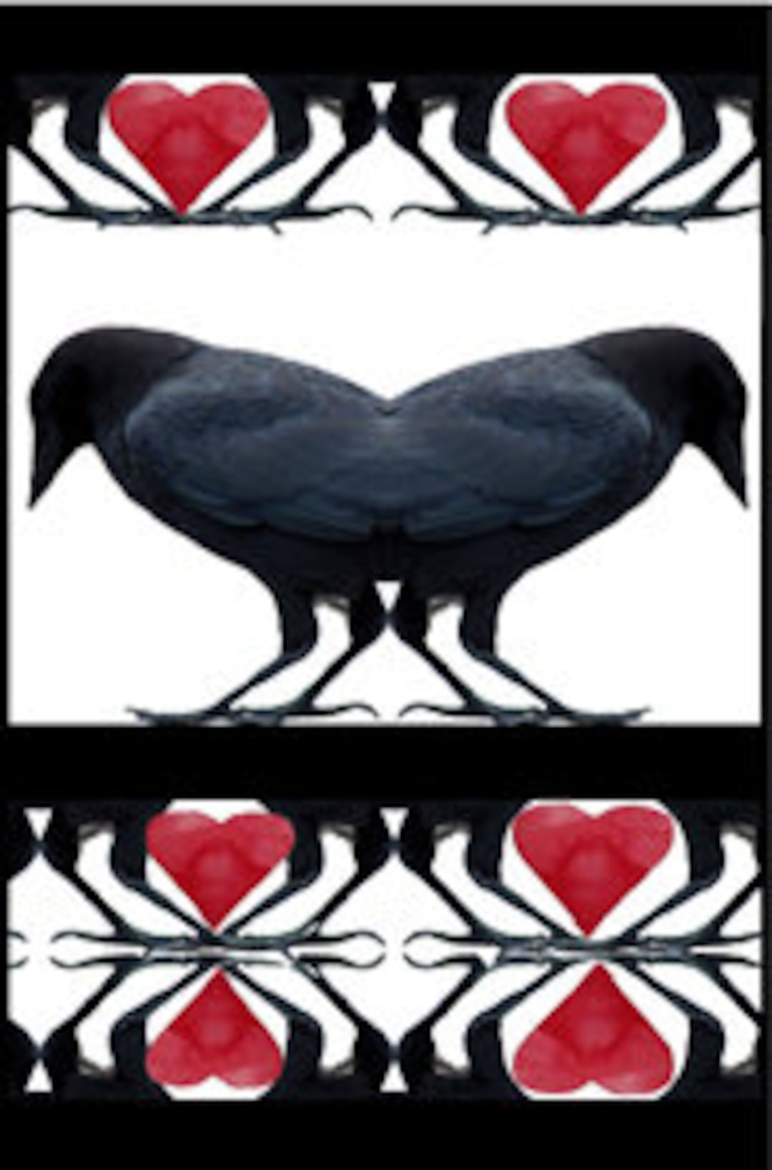 Box of 8 Glitter Free CROW Cards crow Lover Greeting Cardsraven Graphic ...