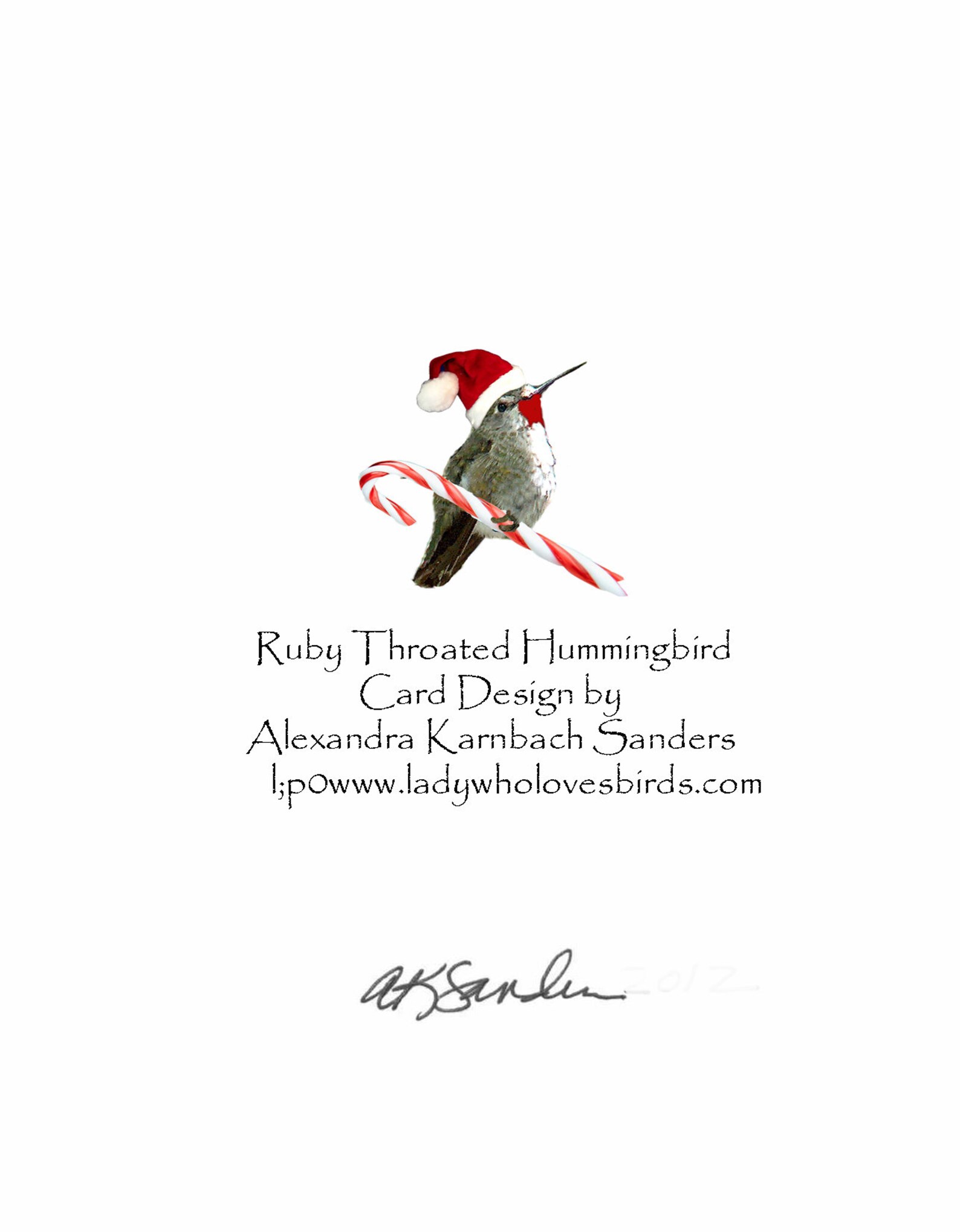 GLITTER FREE Hummingbird Christmas Cards 10 Hummer Santa - Etsy